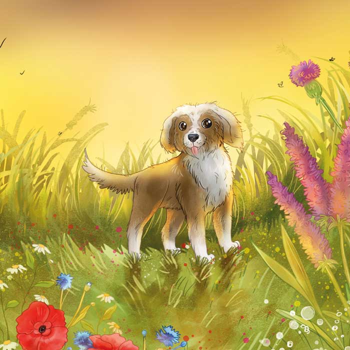 Coverillustration Hund Max - Illustrationen für Kinderbücher und Bücher
